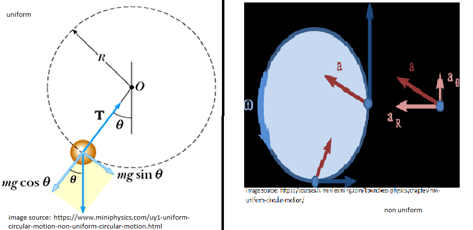 What are the three examples of circular motion? - Find 5 Answers ...