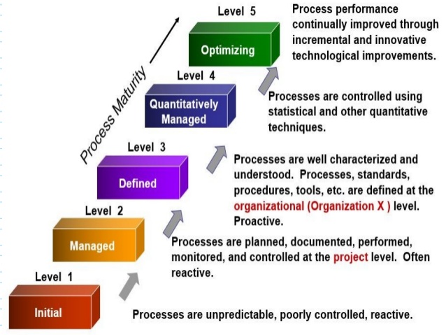 Explain the process model of the organisation. - Find 1 Answer ...