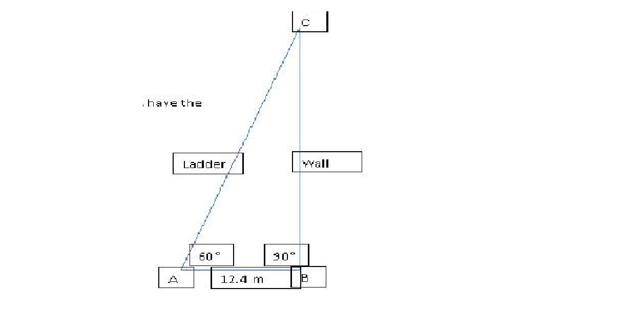 The angle of elevation of a ladder leaning against a wall is 60º and ...
