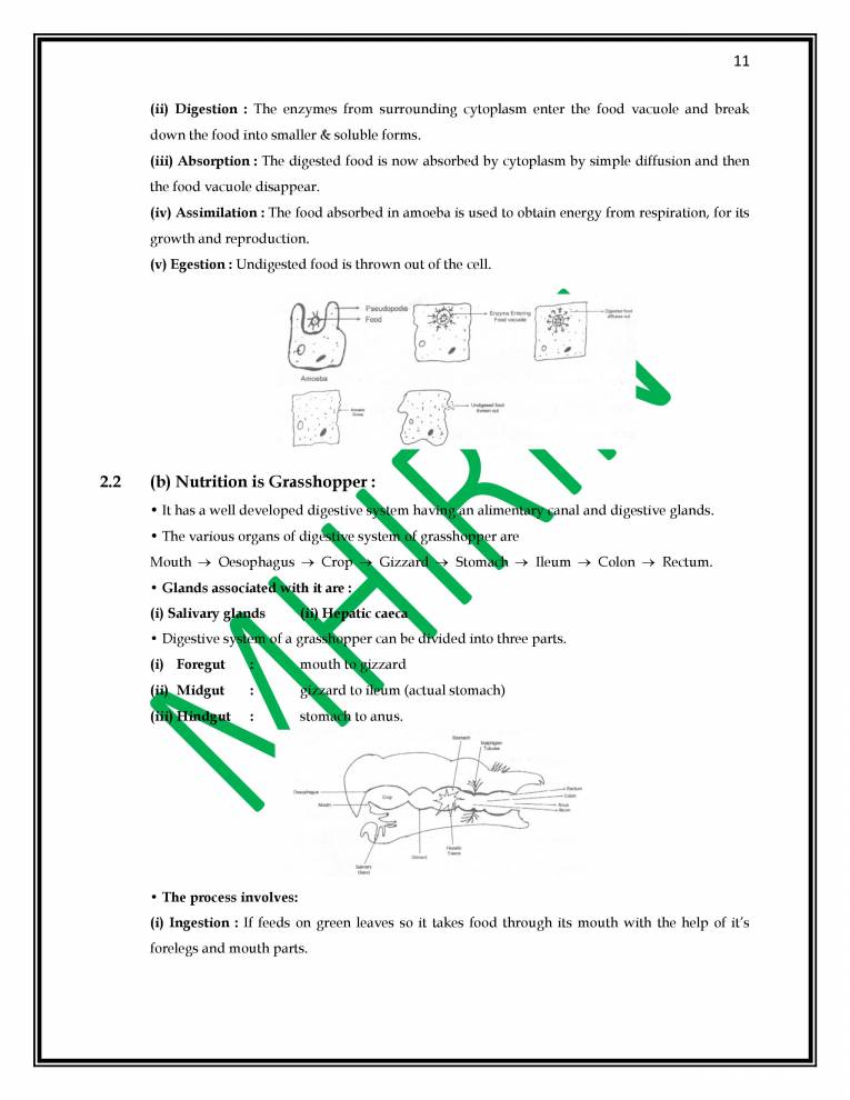Class 10 CBSE Science Notes - Notes - LearnPick India