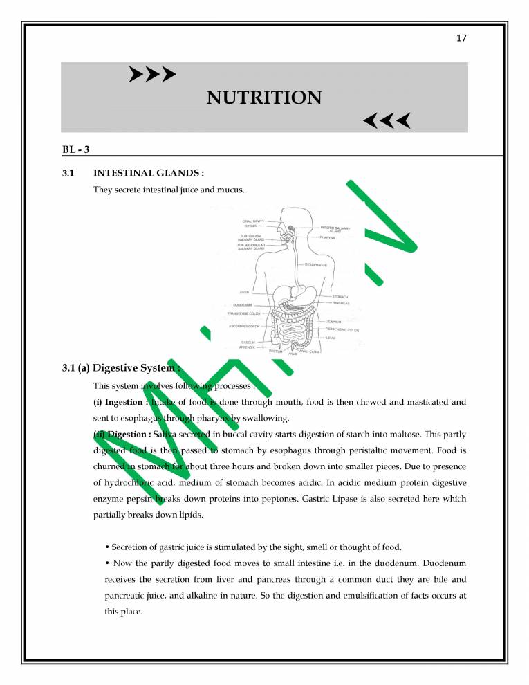 Class 10 CBSE Science Notes - Notes - LearnPick India
