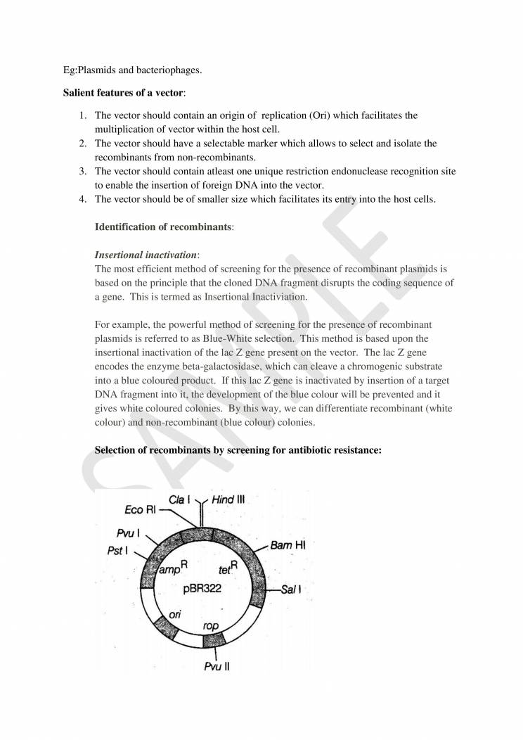 Principles And Processes In Biotechnology - Notes - LearnPick India