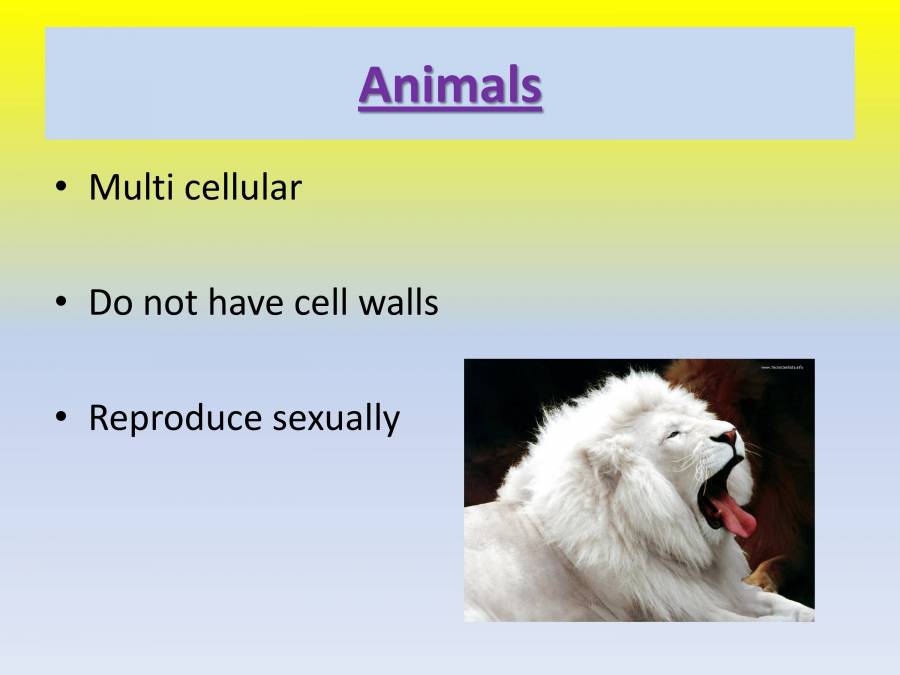 Classification Of Organism - Notes - LearnPick India