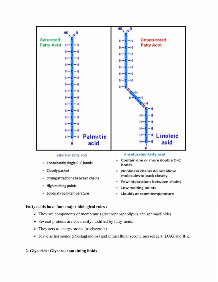 Lipids - Notes - LearnPick India