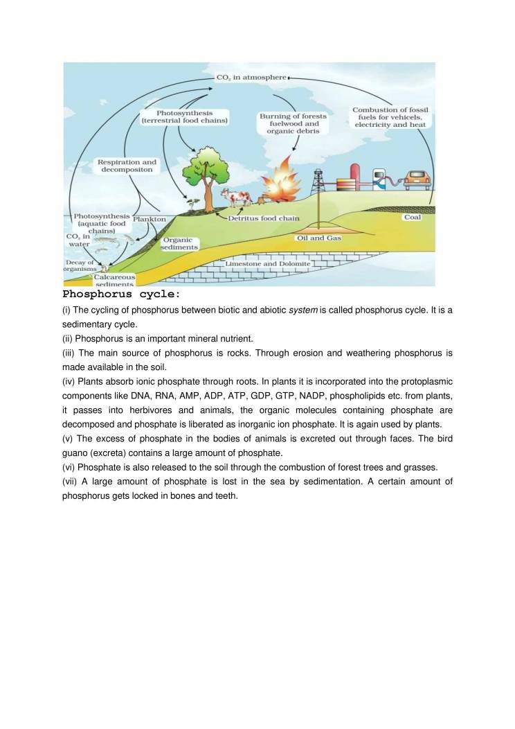 Biology - Ecosystem - Notes - LearnPick India