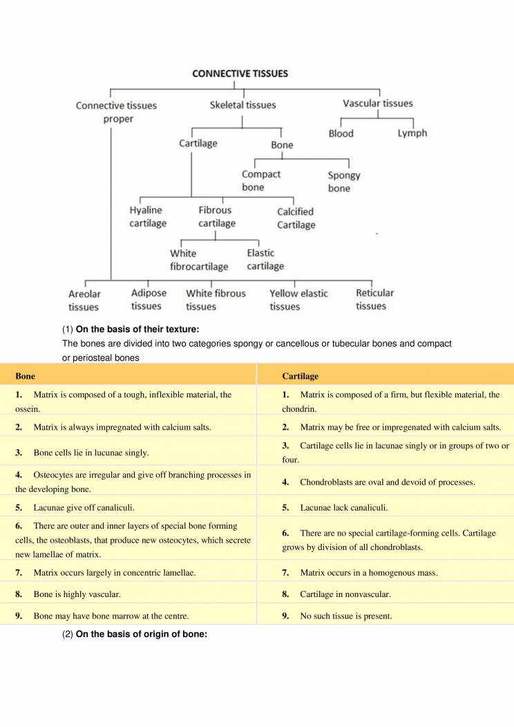 Biology - Structural Organisation In Animals - Notes - LearnPick India