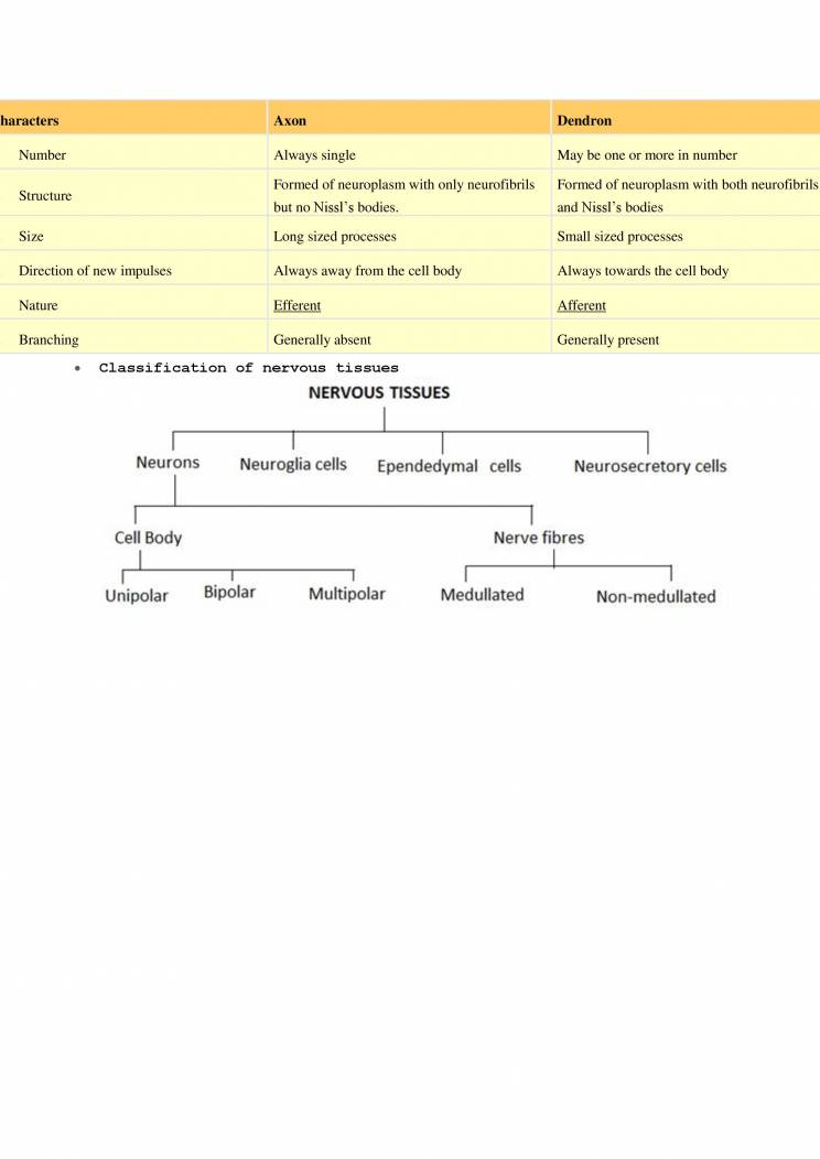Biology - Structural Organisation In Animals - Notes - LearnPick India