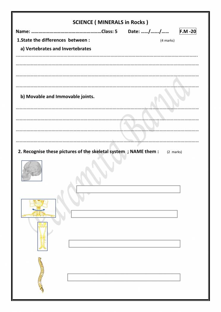 A Worksheet On BONES - Notes - LearnPick India