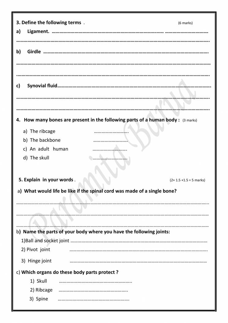 A Worksheet On BONES - Notes - LearnPick India