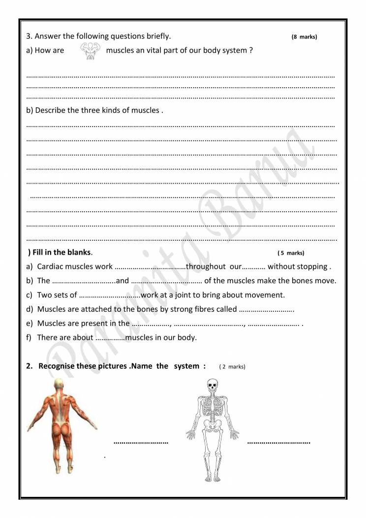 A Worksheet On Human Muscles - Notes - LearnPick India