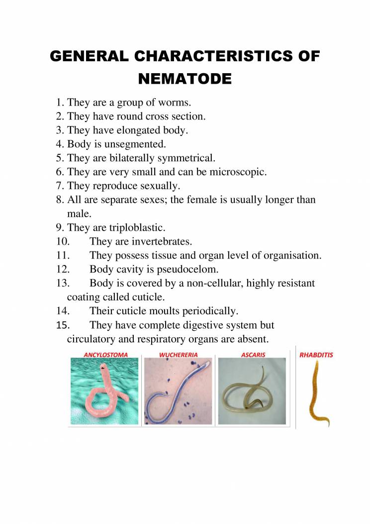 Notes On Nematoda - Notes - LearnPick India