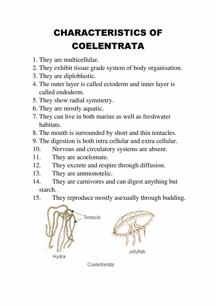 Notes On Coelentrata - Notes - LearnPick India
