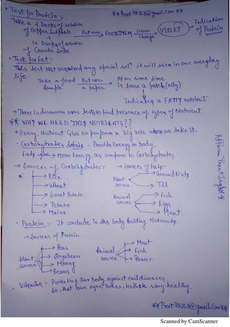 Notes On Component Of Food - Notes - LearnPick India