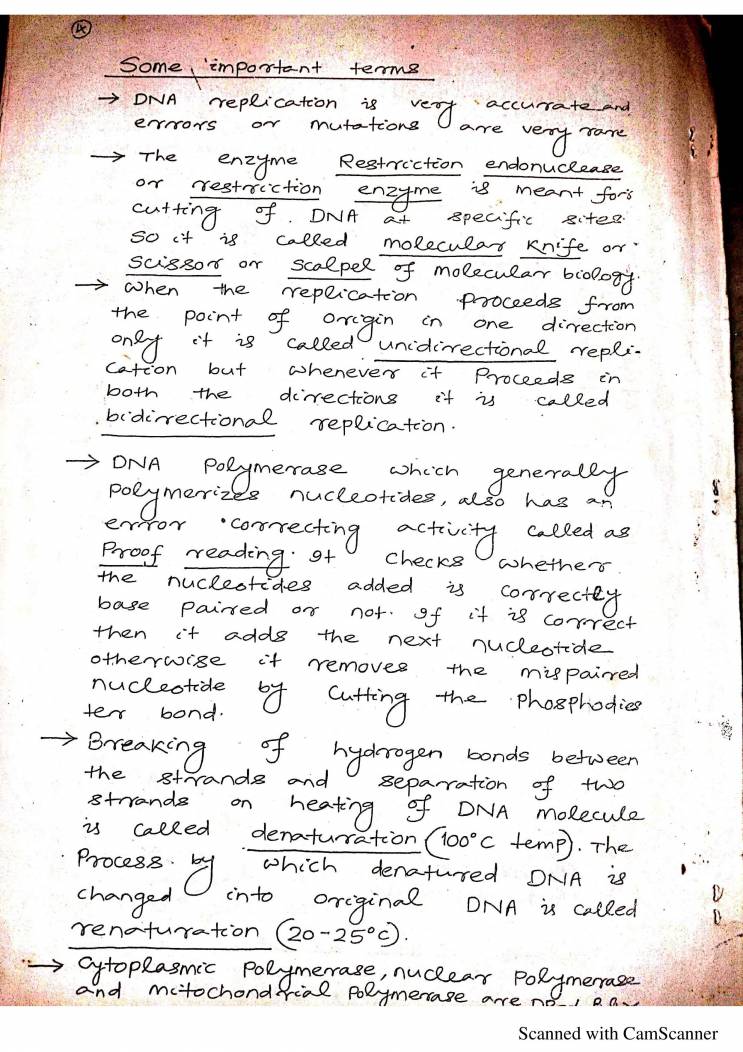 Notes On DNA Structure And Its Replication - Notes - LearnPick India