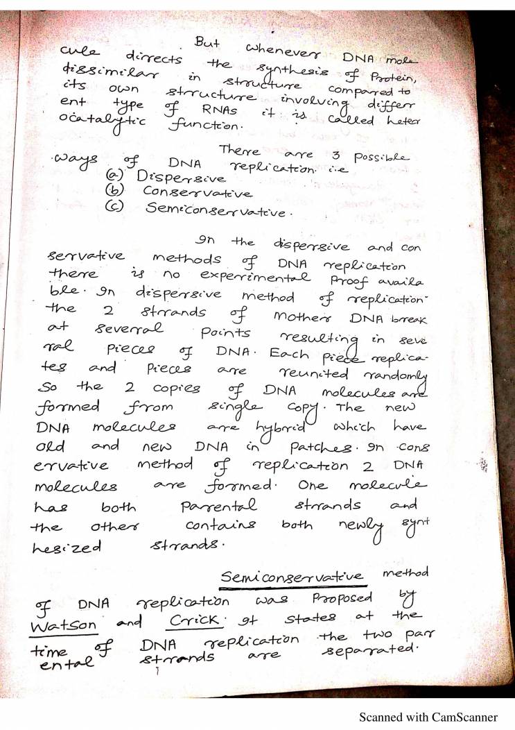 Notes On DNA Structure And Its Replication - Notes - LearnPick India