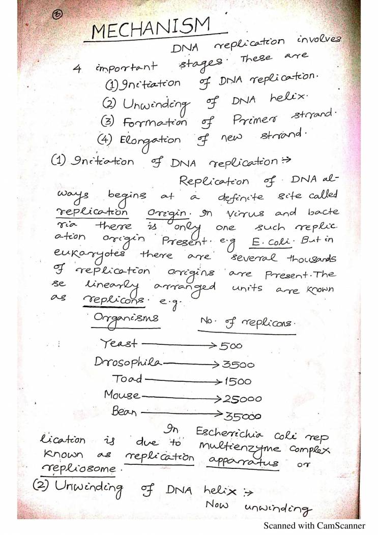 Notes On DNA Structure And Its Replication - Notes - LearnPick India