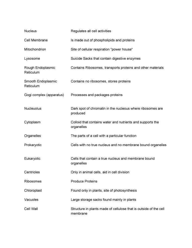 Notes On Cell - Notes - LearnPick India
