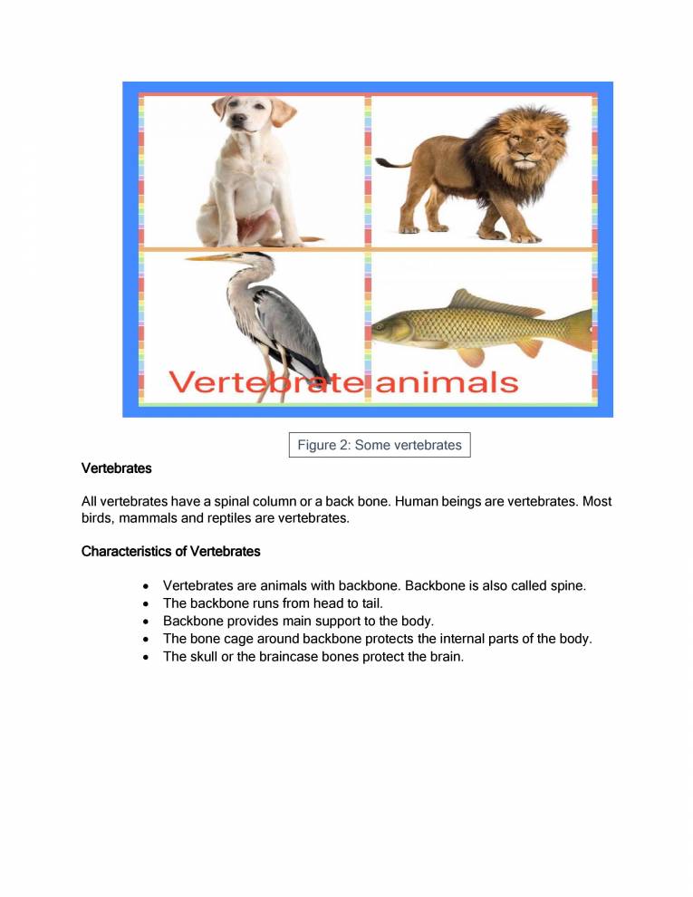 Notes On Animals - Notes - LearnPick India