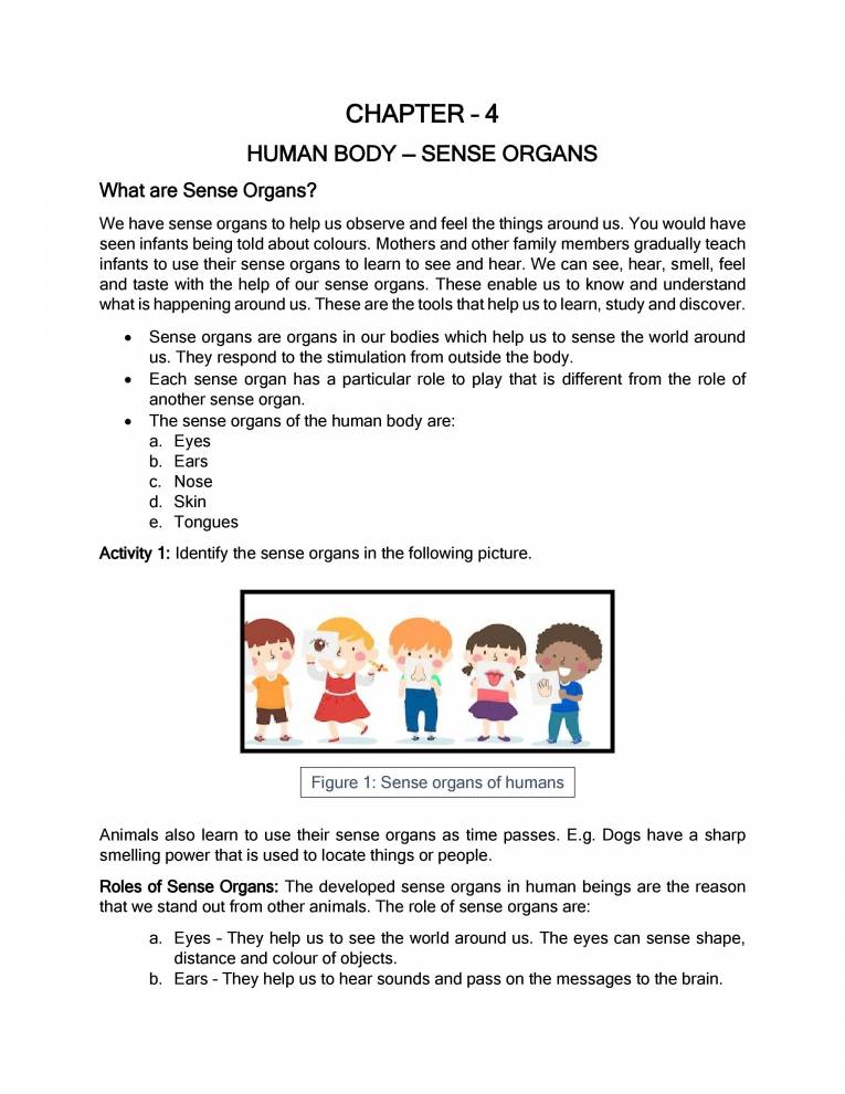 Notes On Chapter-5 Human Body - Skeleton And Muscles - Notes ...