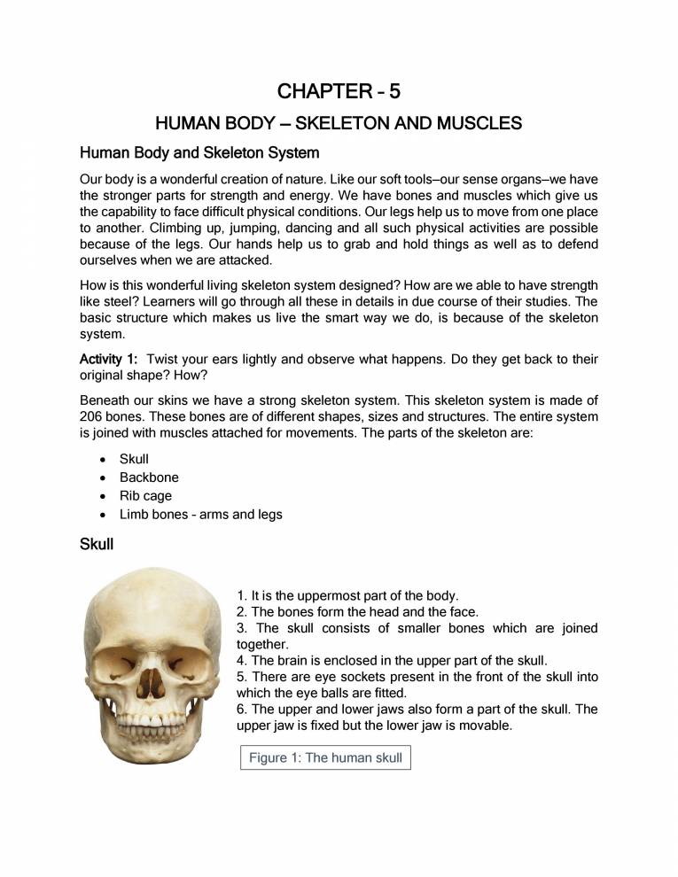 Notes On Human Body - Sense Organs - Notes - LearnPick India