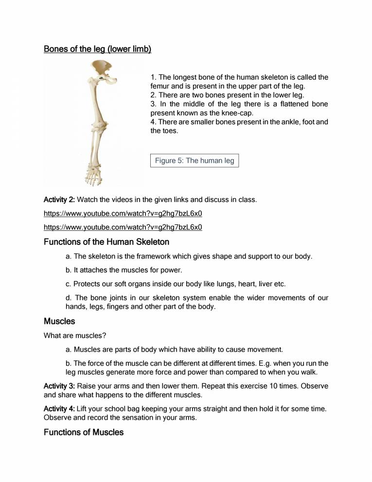 Notes On Human Body - Sense Organs - Notes - LearnPick India