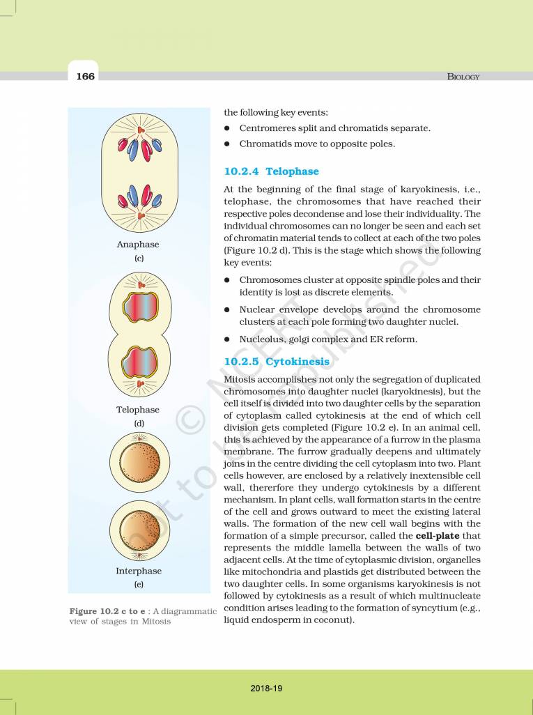 Notes On Cell Biology - Notes - LearnPick India