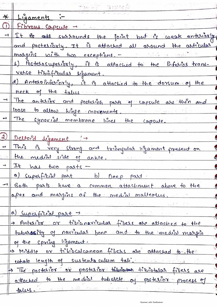 Notes On Ankle Joint - Notes - LearnPick India