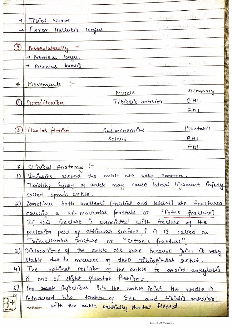 Notes On Ankle Joint - Notes - LearnPick India