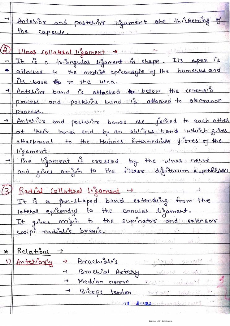 Notes On Elbow Joint - Notes - LearnPick India