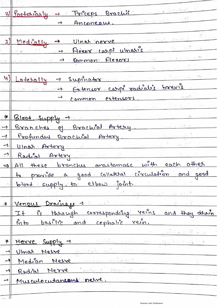 Notes On Elbow Joint - Notes - LearnPick India