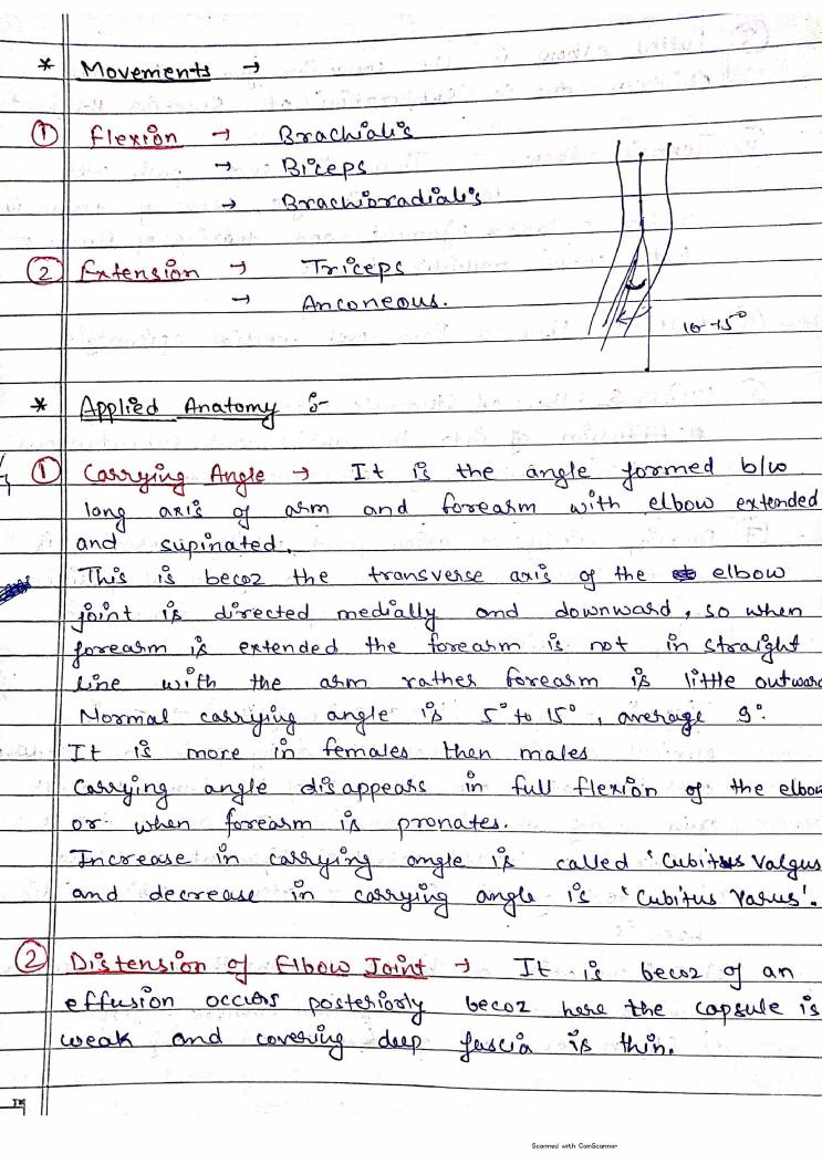 Notes On Elbow Joint - Notes - LearnPick India