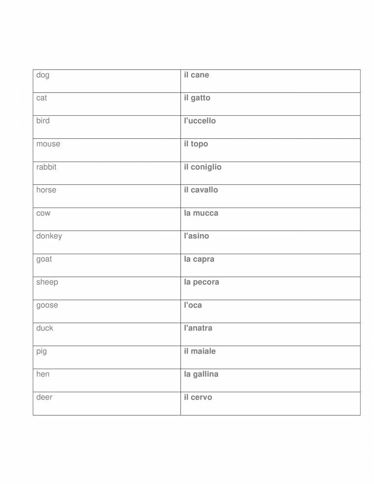 Notes On Italian Level A1 Basic - Notes - LearnPick India