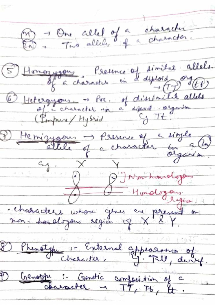 Notes On Genetics - Notes - LearnPick India