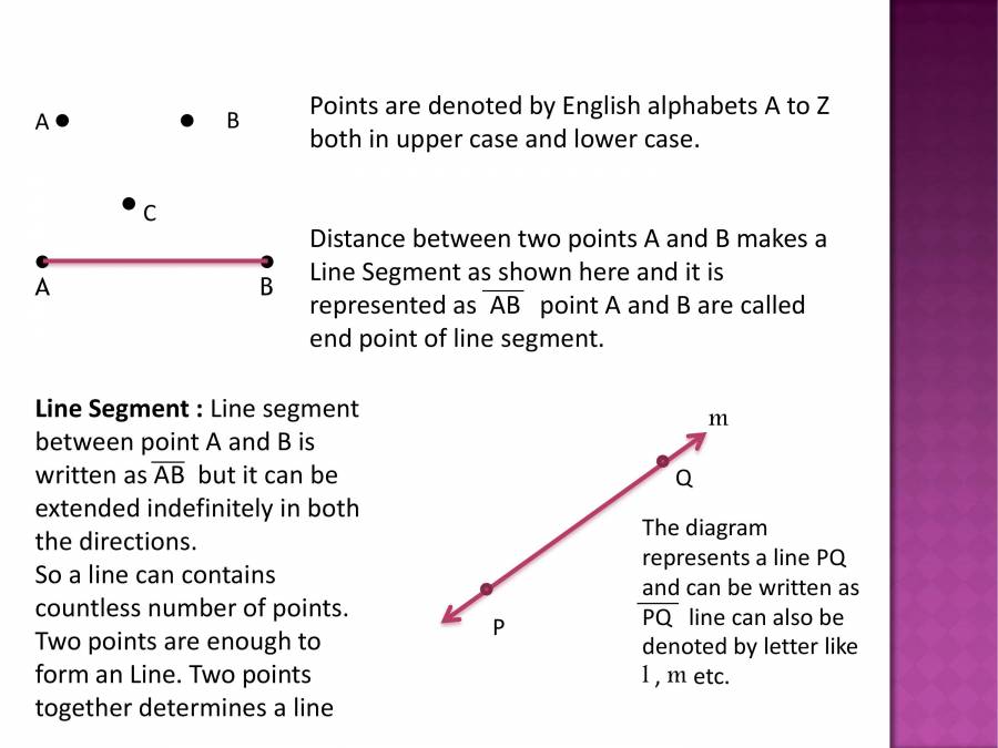 Basic Geometrical Ideas - Notes - LearnPick India