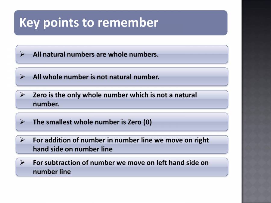 Notes On Concept Of Whole Numbers_Class 6th - Notes - LearnPick India