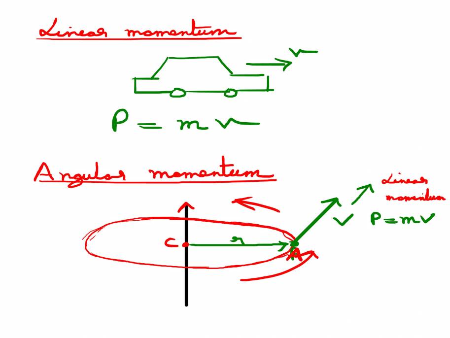 Notes On Torque And Rotational Motion - Notes - LearnPick India