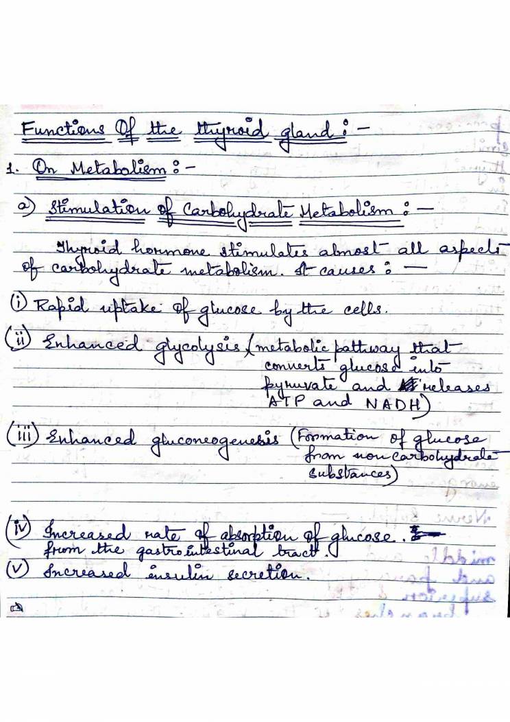 Notes On Thyroid Gland Notes Learnpick India