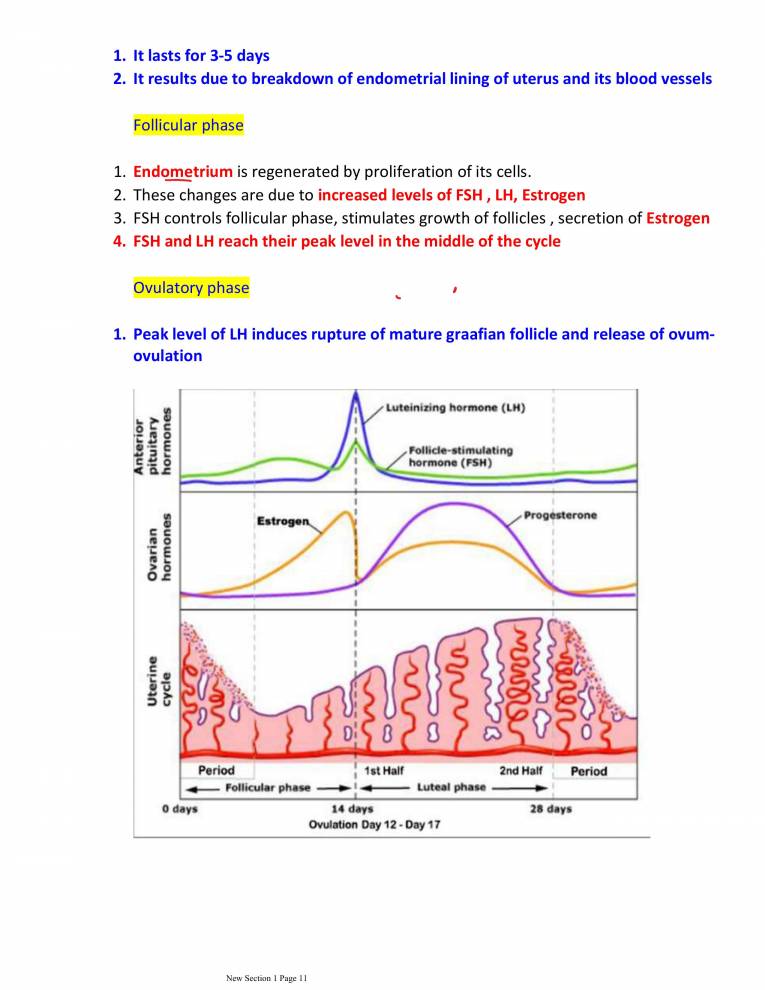 HUMAN REPRODUCTION NCERT BASED NOTES - Notes - LearnPick India