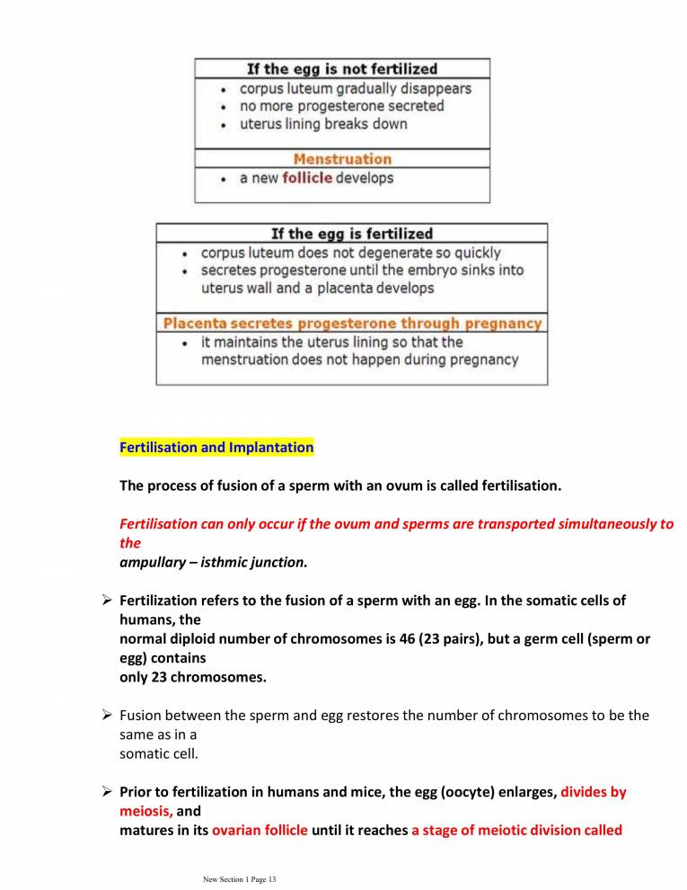 HUMAN REPRODUCTION NCERT BASED NOTES - Notes - LearnPick India