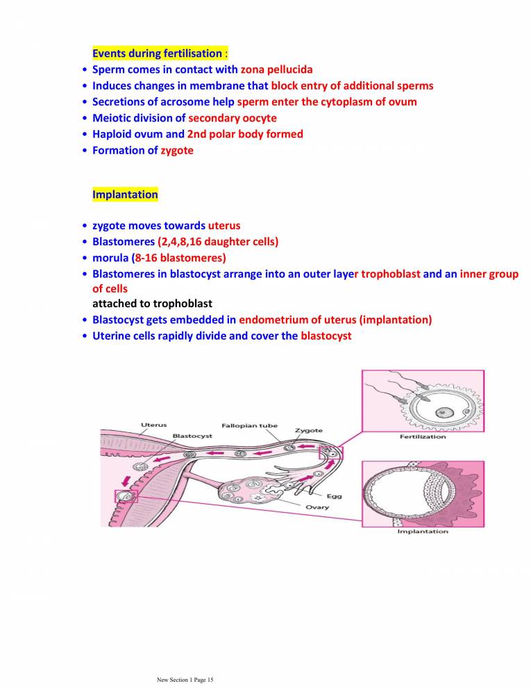 HUMAN REPRODUCTION NCERT BASED NOTES - Notes - LearnPick India