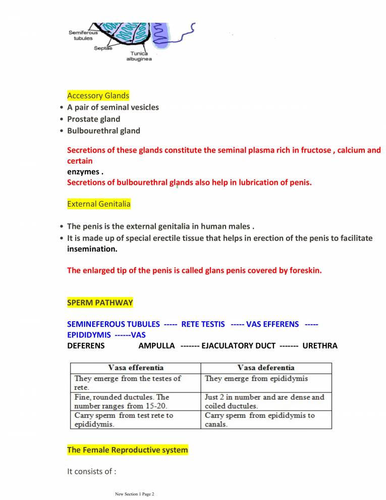 HUMAN REPRODUCTION NCERT BASED NOTES - Notes - LearnPick India
