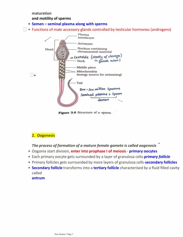 HUMAN REPRODUCTION NCERT BASED NOTES - Notes - LearnPick India