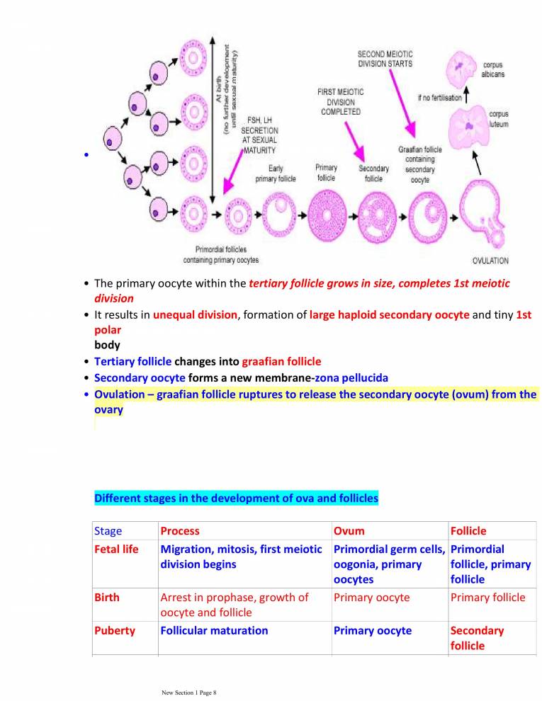 HUMAN REPRODUCTION NCERT BASED NOTES - Notes - LearnPick India