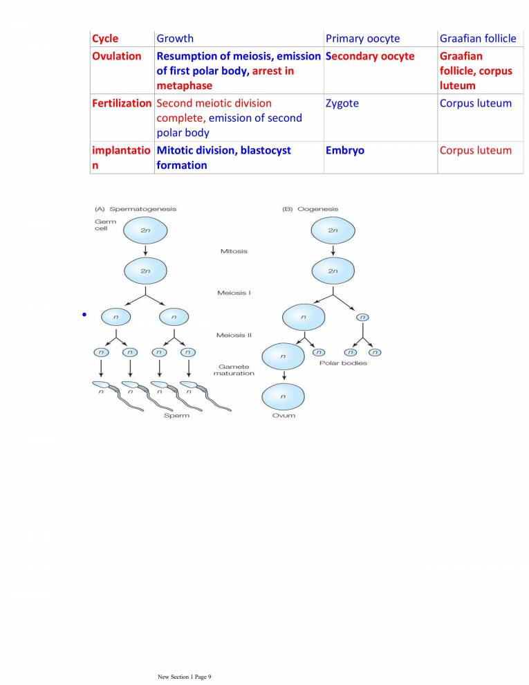 HUMAN REPRODUCTION NCERT BASED NOTES - Notes - LearnPick India