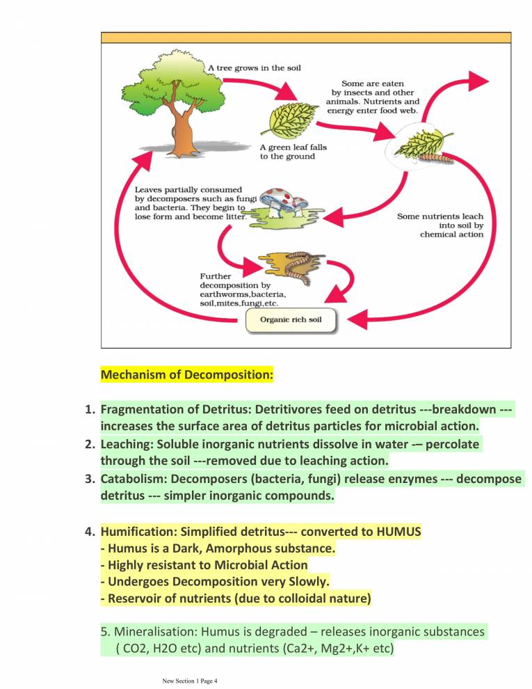 Note On Ecosystem - Notes - LearnPick India