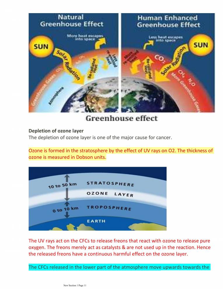 Environmental Issues - Notes - LearnPick India