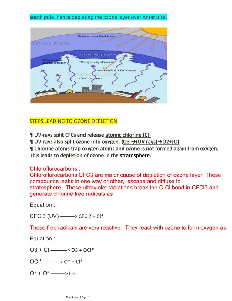 Environmental Issues - Notes - LearnPick India