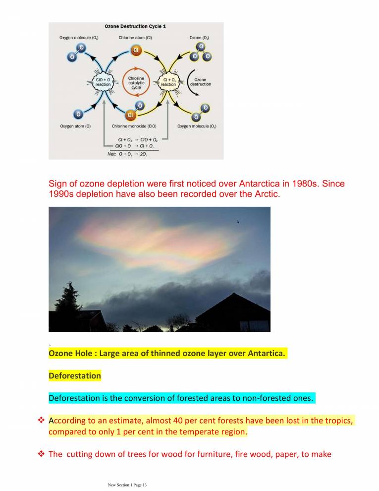 Environmental Issues - Notes - LearnPick India