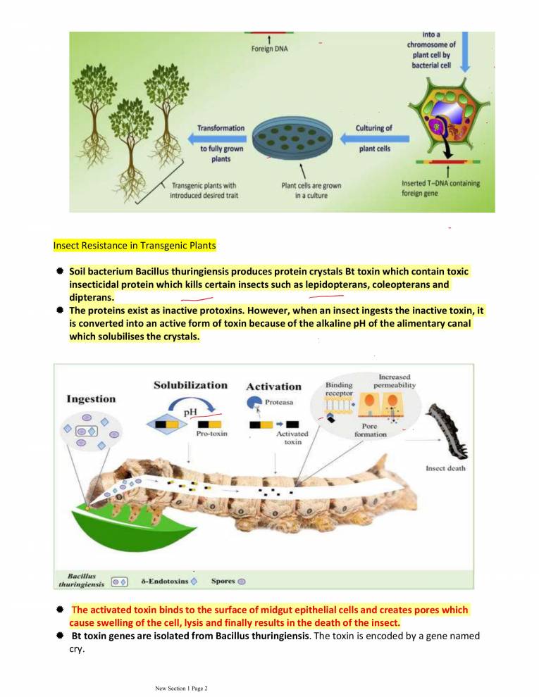 BIOTECHNOLOGY AND ITS APPLICATIONS - Notes - LearnPick India