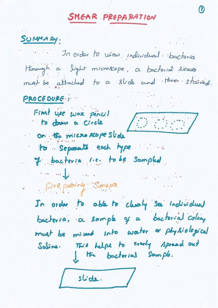Microbial Staining Techniques - Notes - LearnPick India